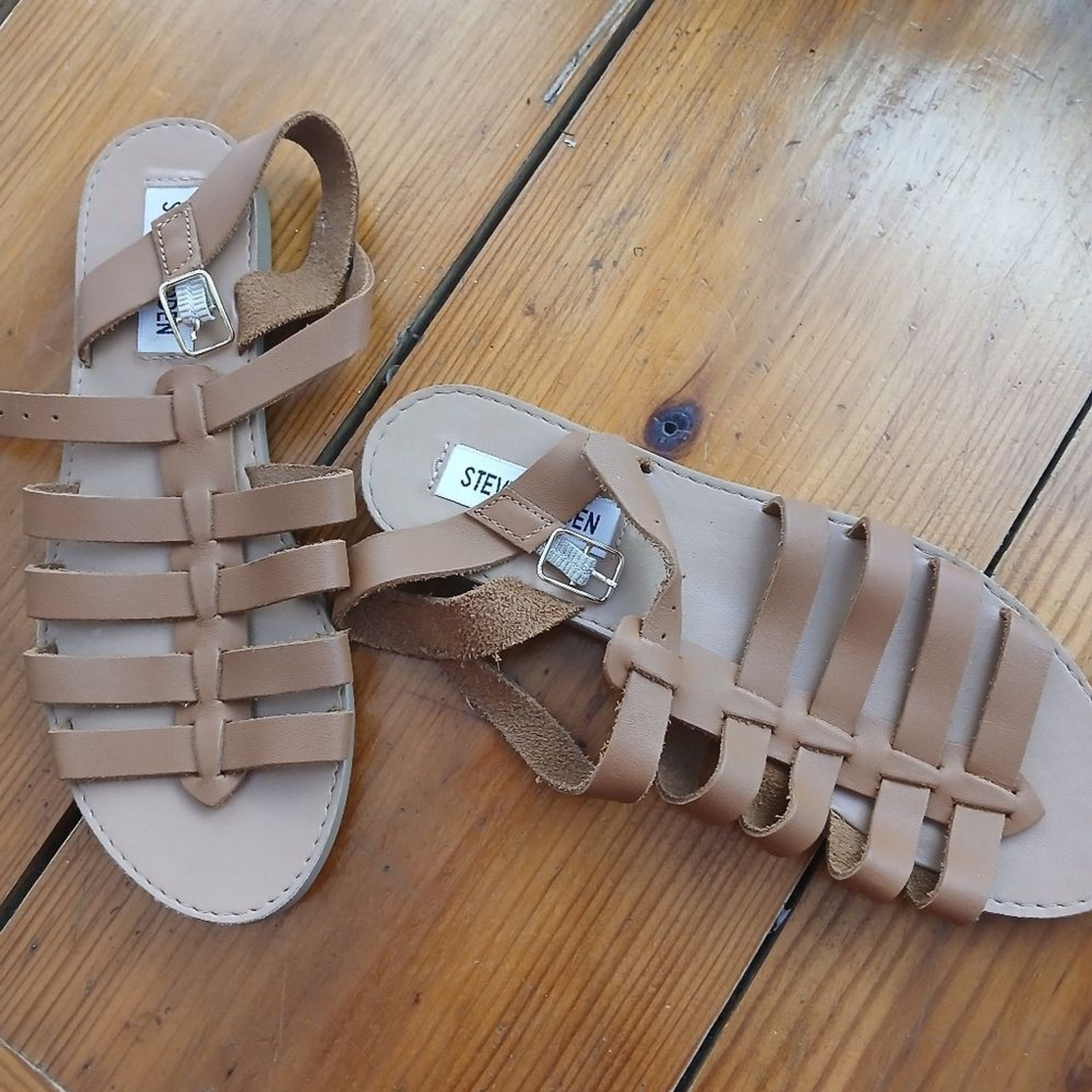Steve Madden Tan Leather Draco Gladiator Roman Sandals-Size 6-Never ...