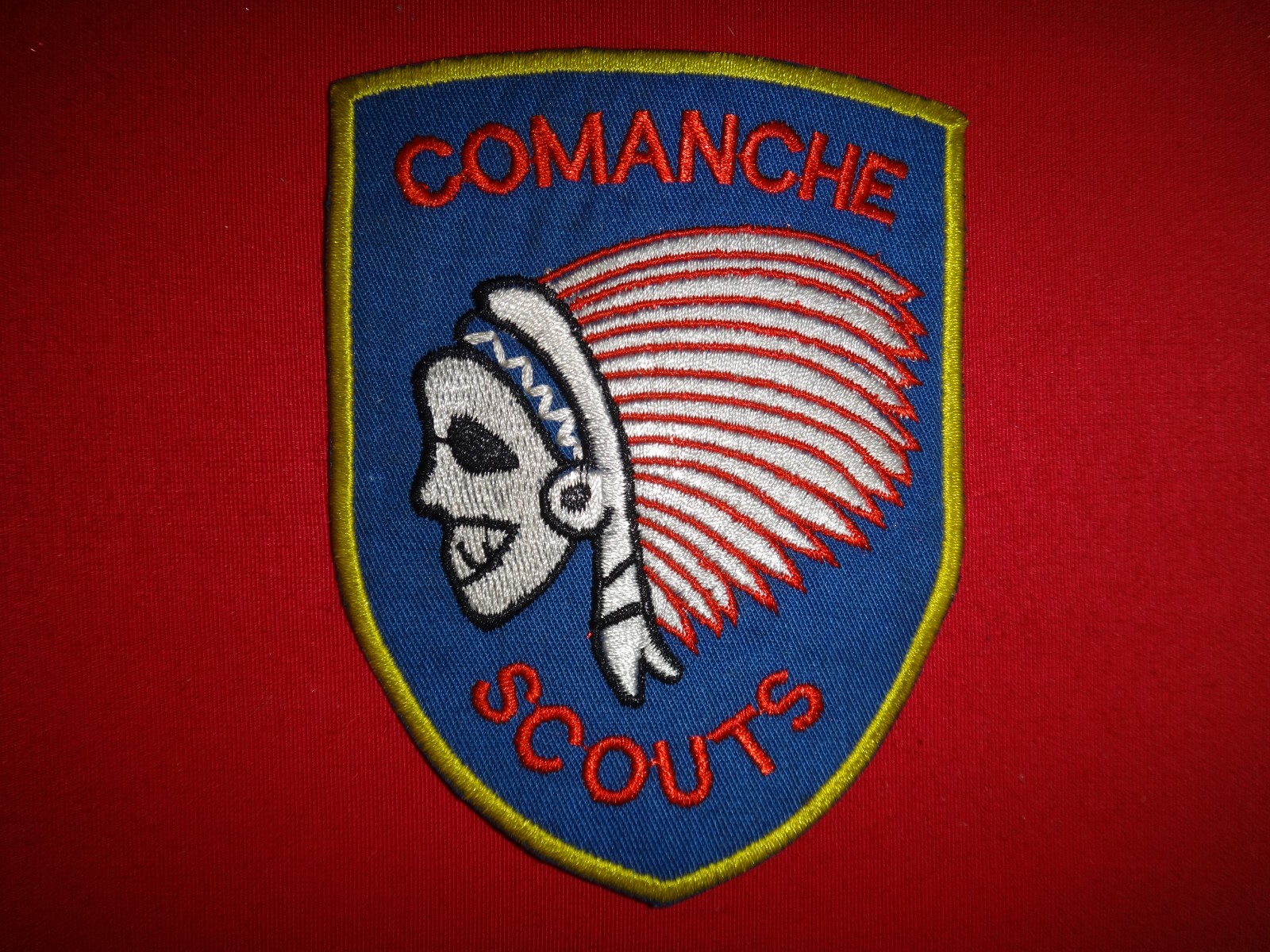 COMANCHE SCOUTS Charlie Troop US 7th Squadron 1st Air Cavalry Vietnam ...