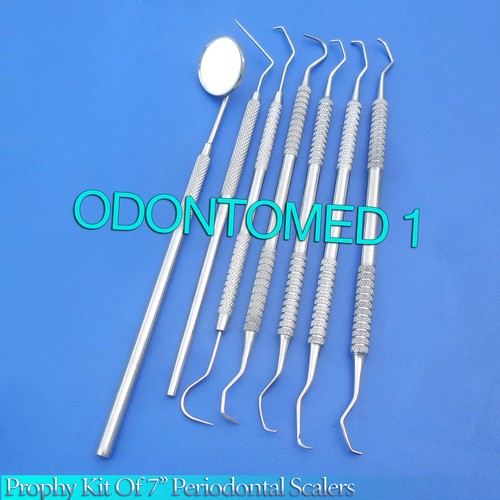 Prophy Kit of 7 periodontal scalers Dental Veterinary Instruments | eBay