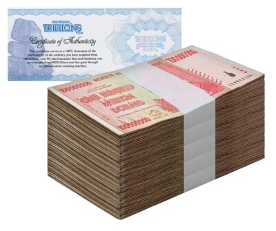 100 Million Zimbabwe Banknotes 2008 AA Series CIRCULATED P-80 trillion ...