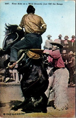 Cowboy's First Ride on Wild Broncho Just Off the Range Rodeo Postcard ...