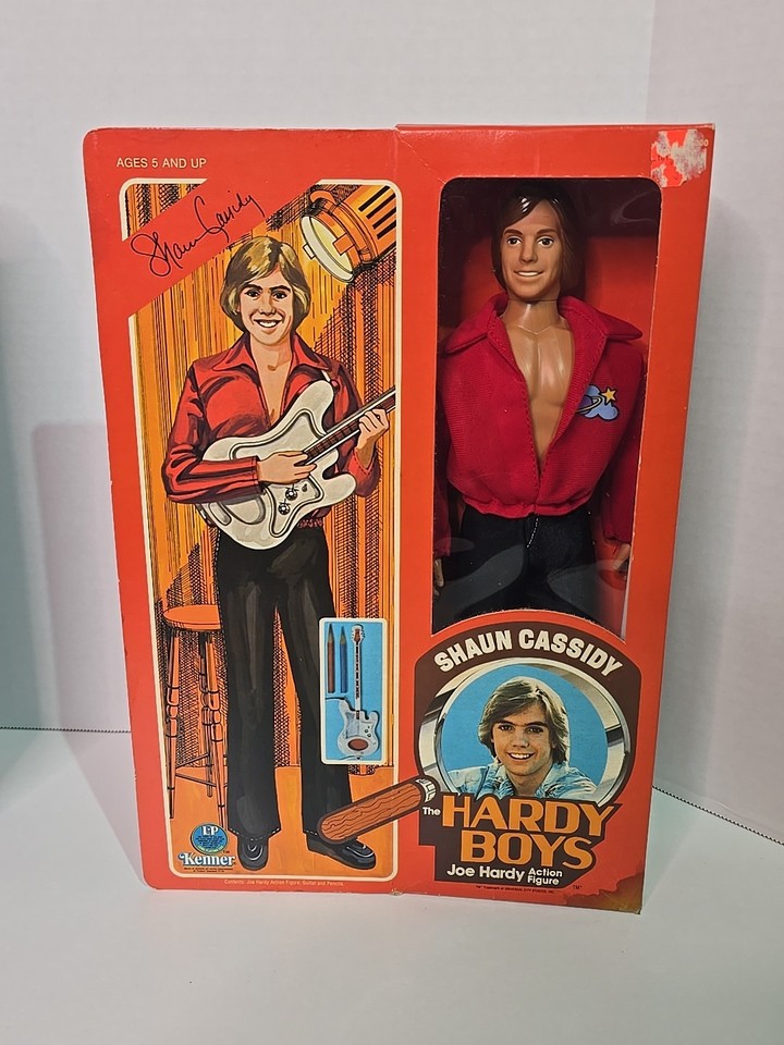 Vintage Kenner The Hardy Boys Action Figures Parker Stevenson Shaun ...