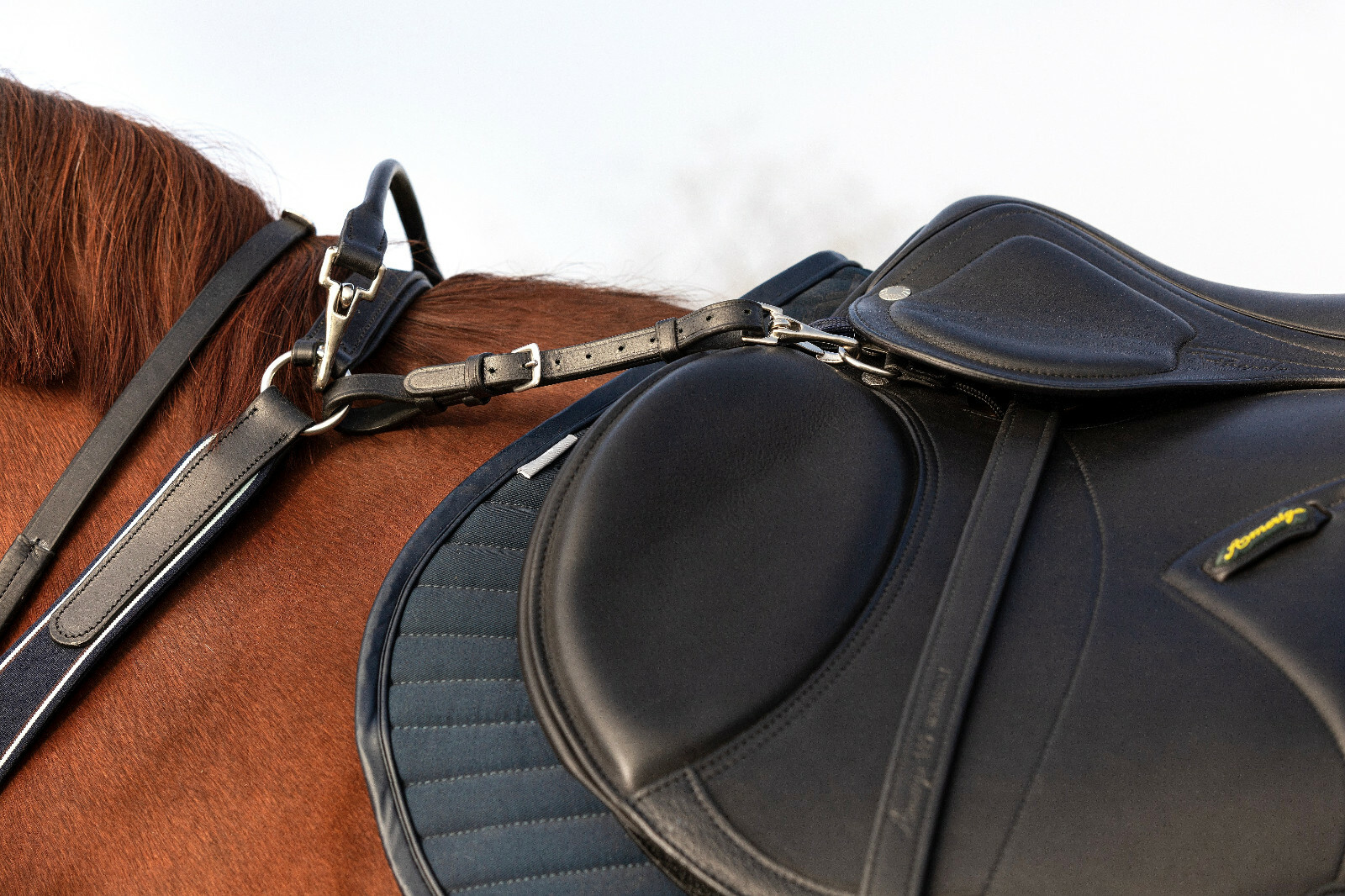 Horseware Micklem Martingale 3-Point Ergonomic Elasticated Leather ...