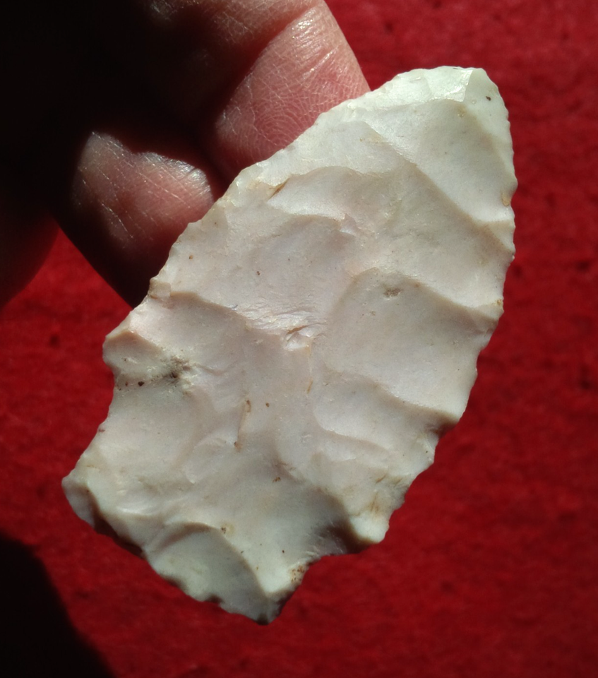 THIN 2-7/16" SCOTTSBLUFF ILLINOIS ARROWHEAD Projectile Point AUTHENTIC ...