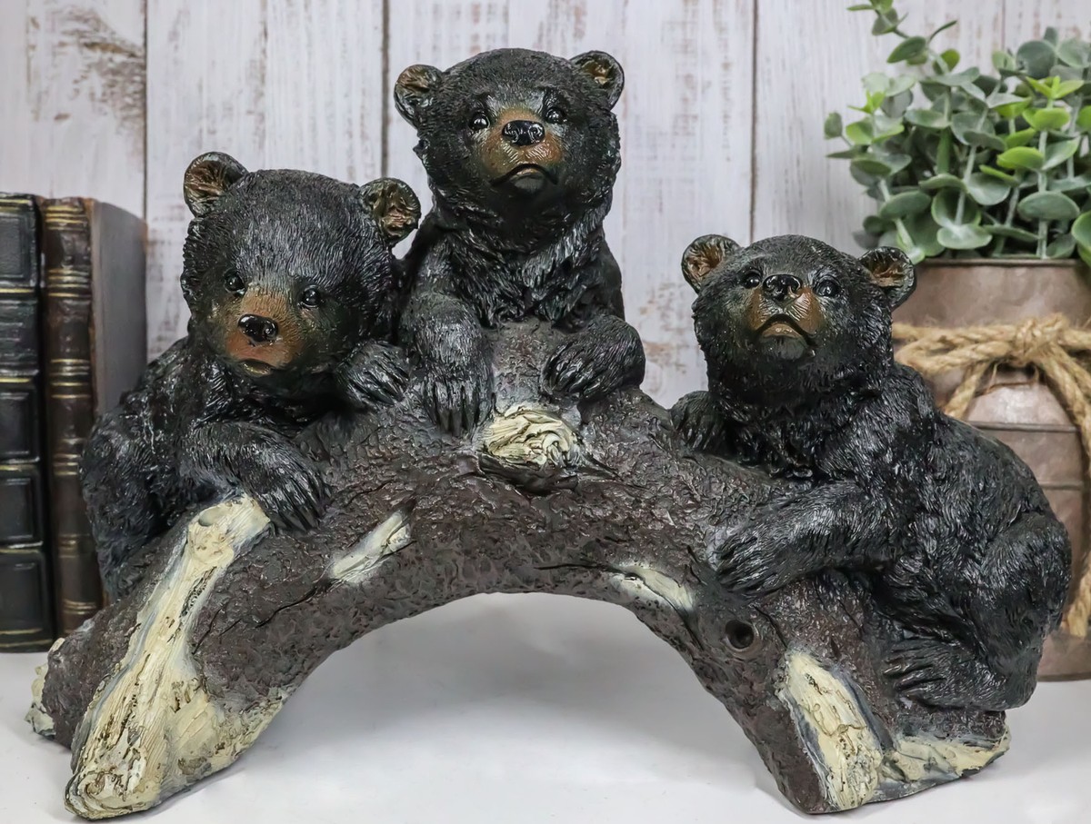 Three Black Bear Cubs