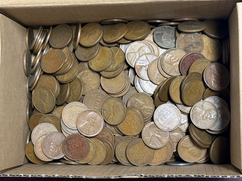 Lot of 500 Wheat Pennies | eBay