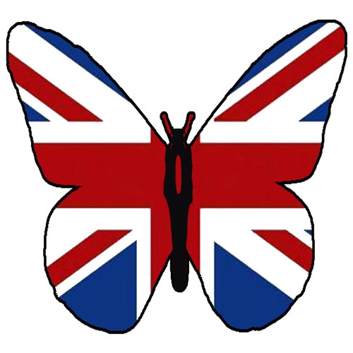 24 Edible Rice Paper Cup Cake Topper, decorations - Union Jack ...