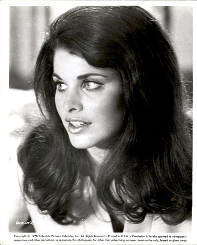 BR16 1970 Original Photo SHERRY LANSING Sexy Young Actress Bombshell ...