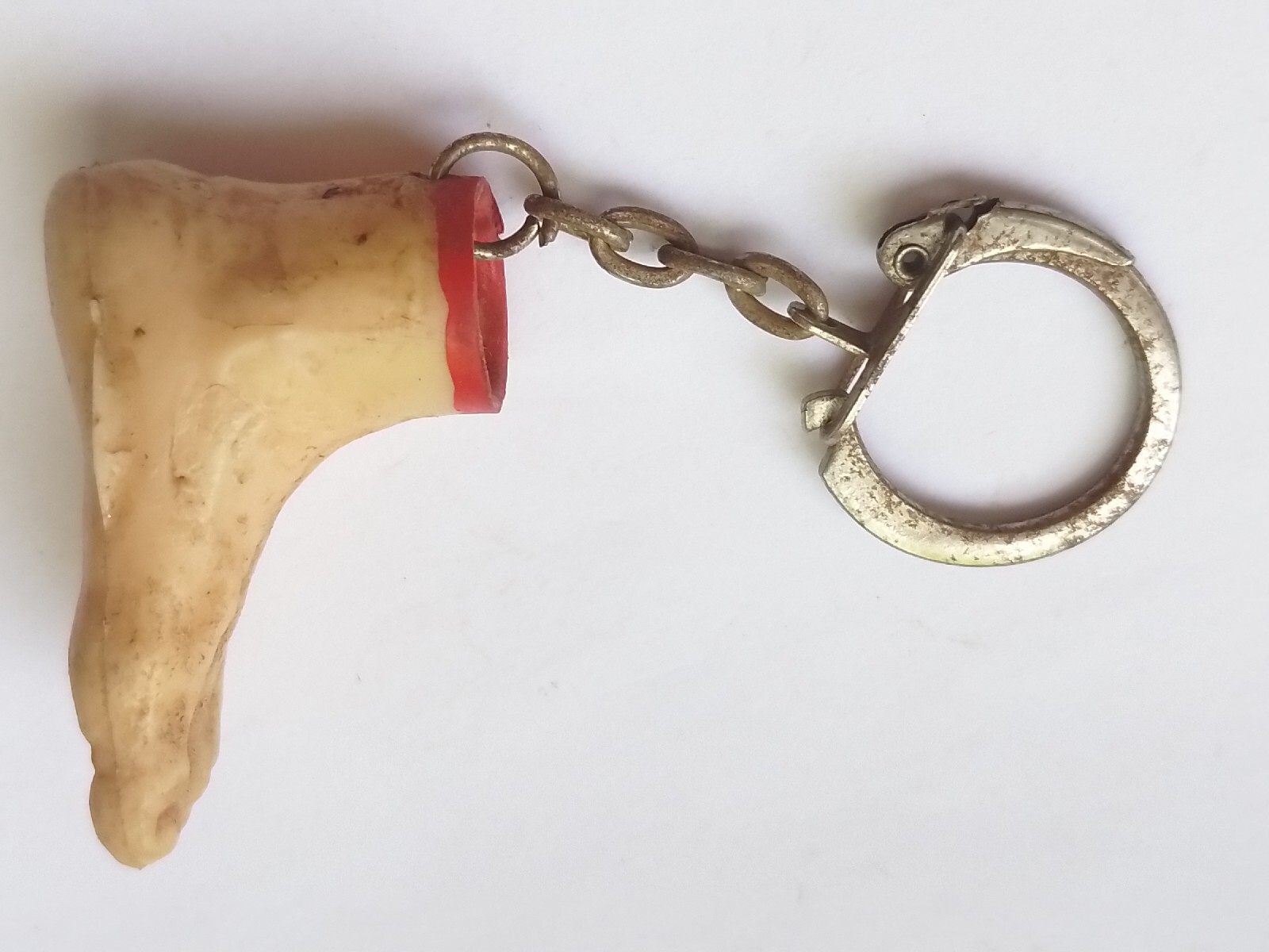 Vintage Retro Keyring Key RING Plastic FOOT Toes Severd Foot Horror ...