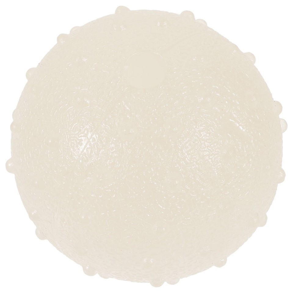 2 Pcs Fetch Balls for Small Dogs Interactive Toys Puppy Teething | eBay ...