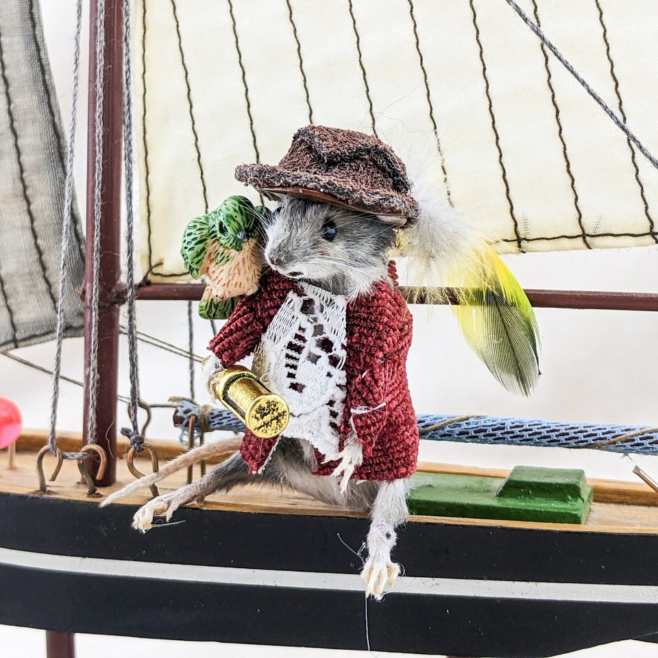 Model Pirate Ship Baby Mice Nautical Taxidermy Oddity Curiosities ...