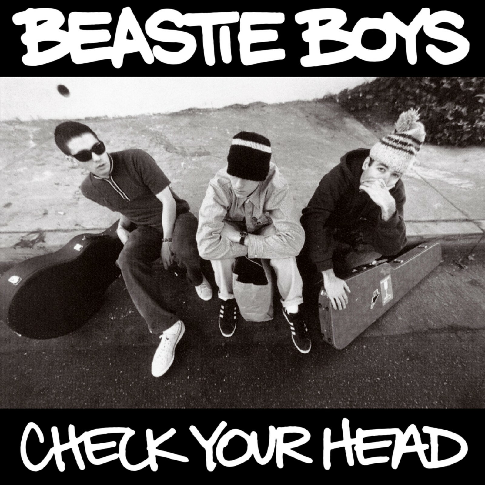 BEASTIE BOYS Check Your Head BANNER 2x2 Ft Fabric Poster Flag album ...