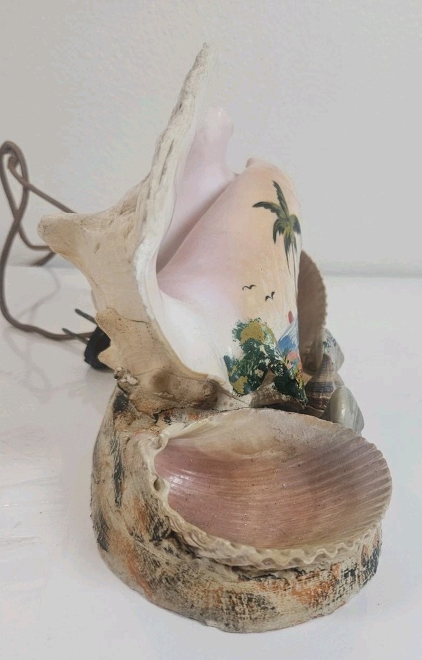 VTG MCM 50's Kitsch Sea Shell TV Lamp Conch Coral Light COASTAL Tiki ...