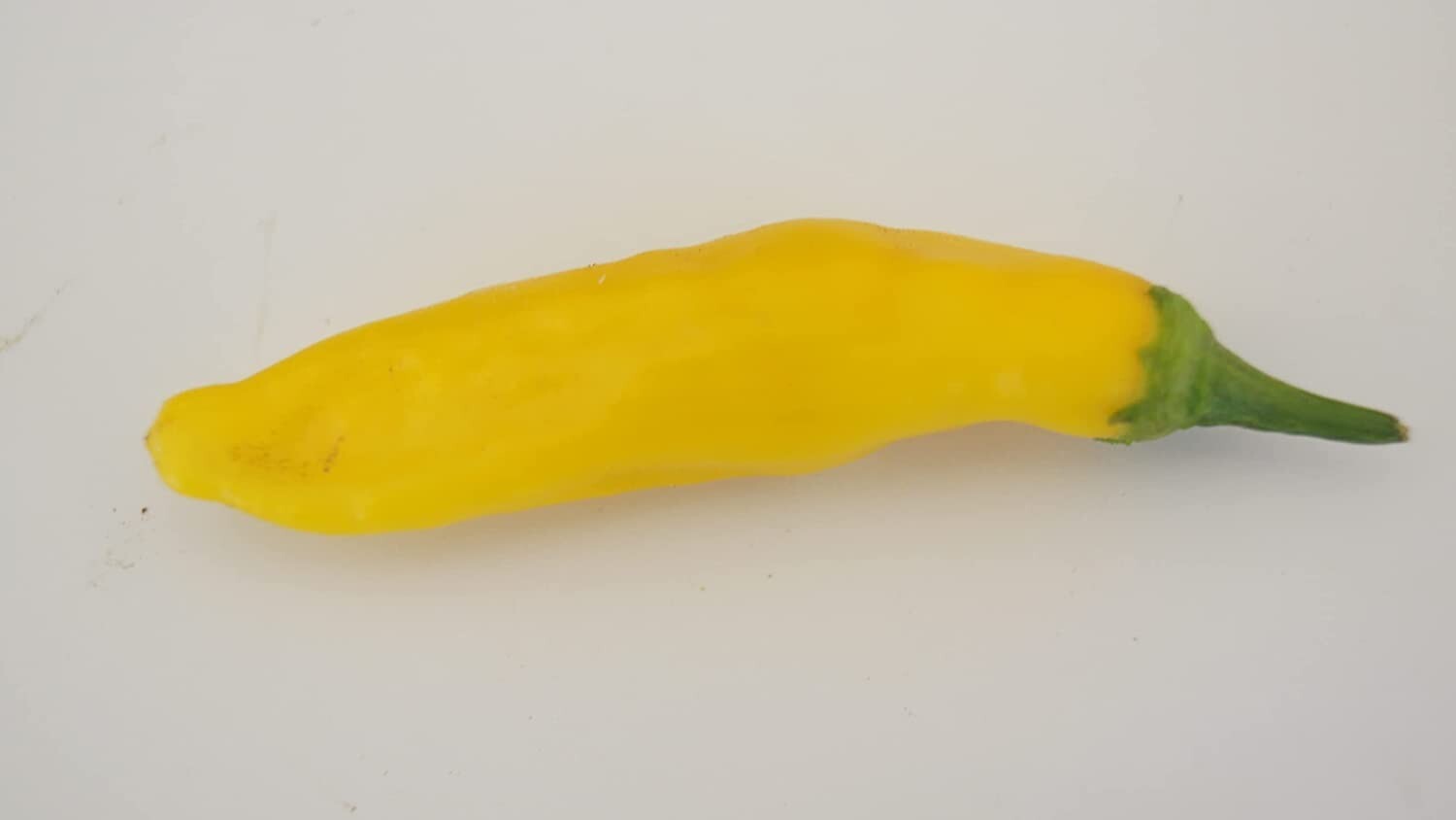 Lemon Drop Chilli Seeds - 10 Fresh Aji Lemon Pepper Seeds | eBay