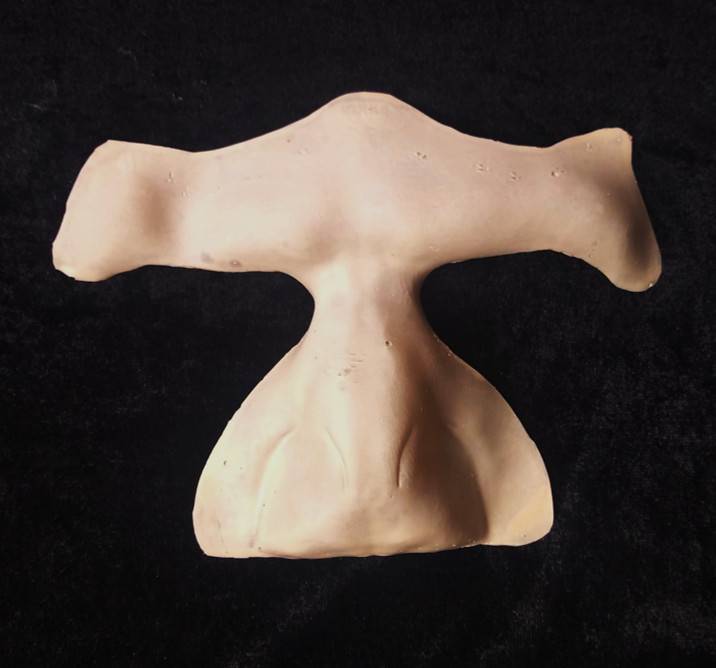 Voldemort Nose Costume - Infoupdate.org