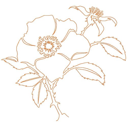 Free Motion Cherokee Rose 10 Machine Embroidery Designs CD in 7 sizes ...