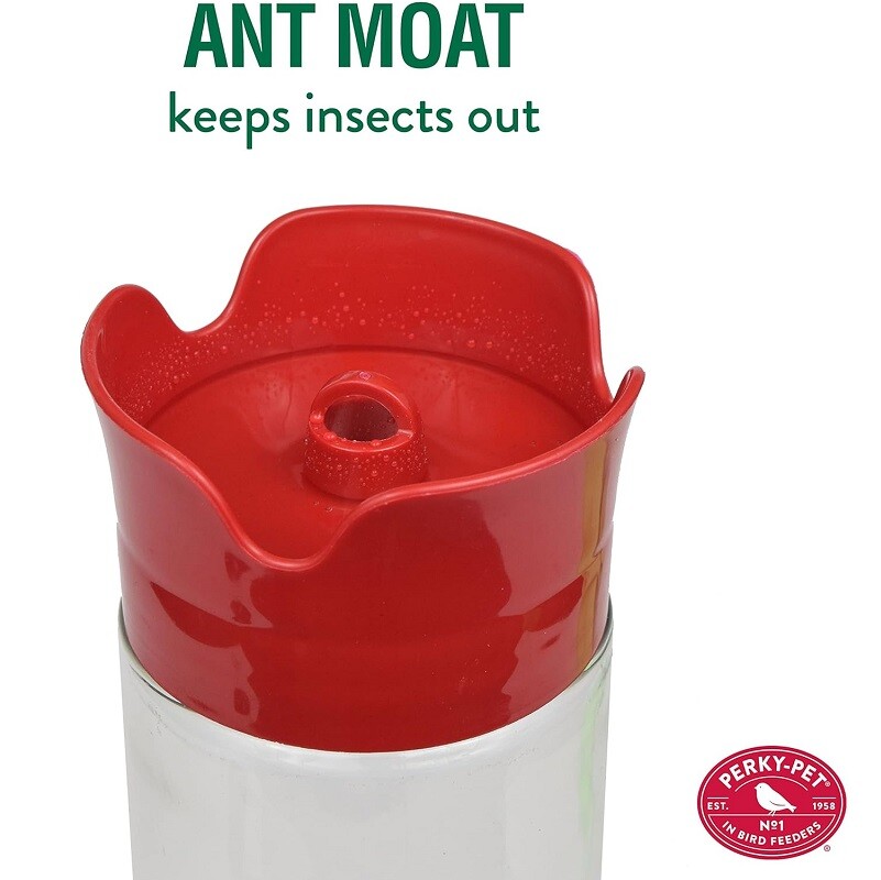 Hummingbird Feeder 30 oz Red Plastic with Perches Built-In Ant Moat Bee ...