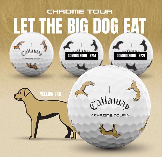 Callaway Chrome Tour Let the Big Dog Eat – Golf Balls 12PCS SET | eBay