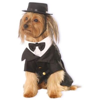 Dapper Dog - Wedding - Formal - Prom - Pet - Dog Costume - 4 Sizes | eBay