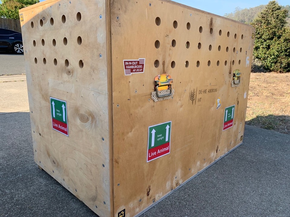 Wooden dog crate for flying - kennel - carrier | eBay