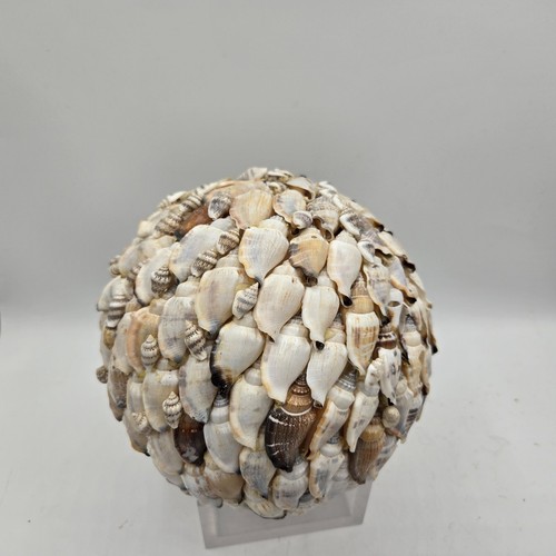 Sea Shells Orb Sphere Art Sculpture Unique Handmade 7"T Diameter Beach ...
