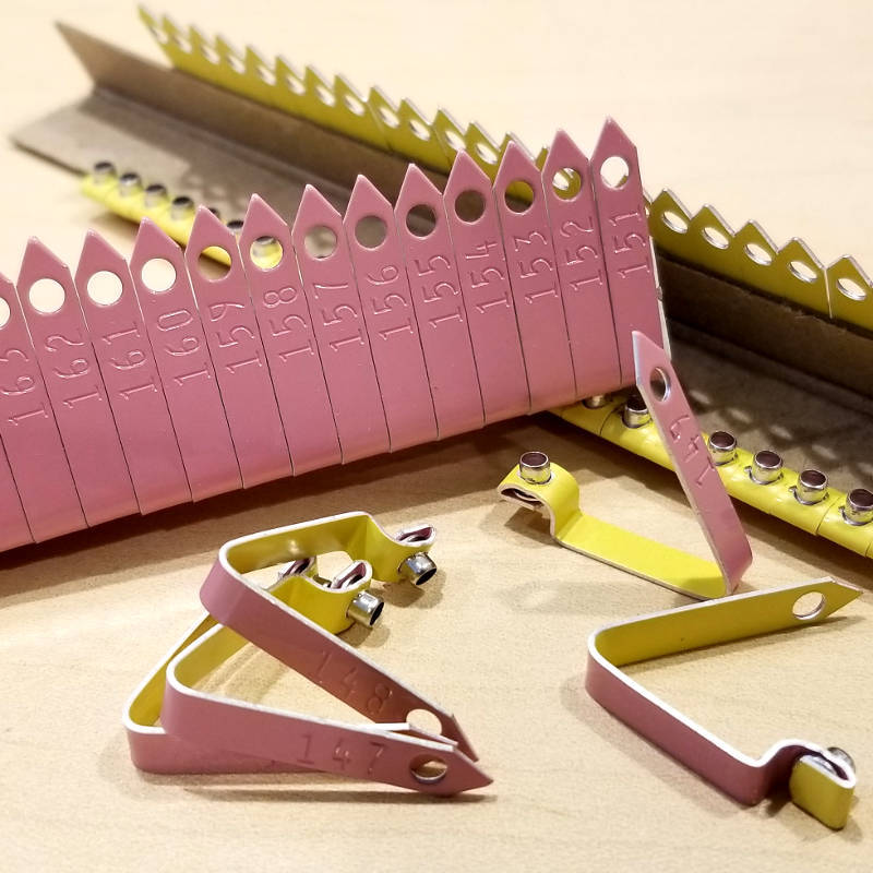 Zip Wing Bands Chicken Poultry Bird Numbered Wing Identification Wing ...