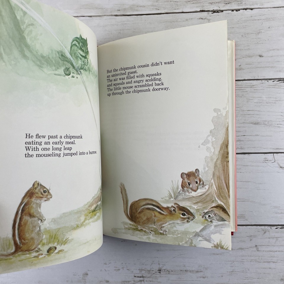 Mousekin's Family Edna Miller Vintage Hardcover Illustrated Nature ...