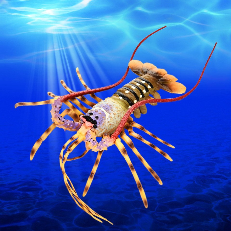 Lobster Model Creative Lifelike Lobster Decor Funny Toy Lobster for ...