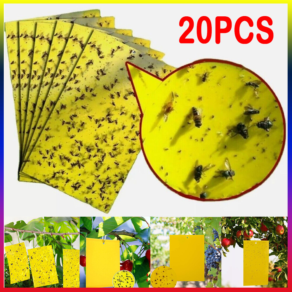 20 Sticky Fly Traps 20x10cm Dual-Sided Greenhouse Whitefly Sticker ...