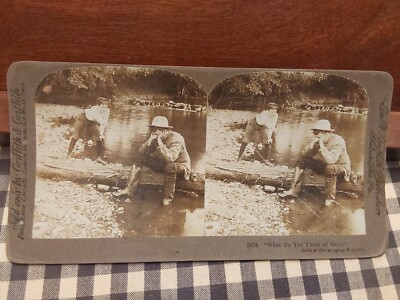 Stereoview George W Griffith 2474 What Do You Think Of That | eBay