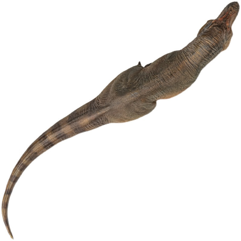 PNSO Zhuchengtyrannus magnus Lu Xiong DINOSAURS SCIENTIFIC ART MODEL | eBay