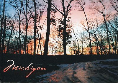 Alte Postkarte - Michigan | eBay.de