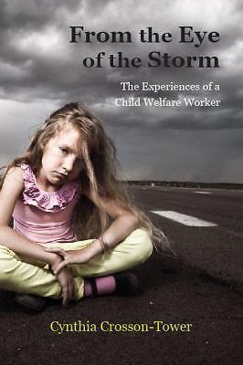 From the Eye of the Storm : The Experiences of a Child Welfare Worker ...