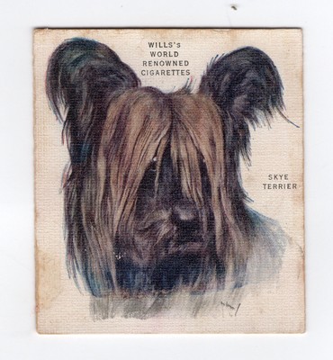Wills Australian Dogs 1928 #18 Skye Terrier | eBay