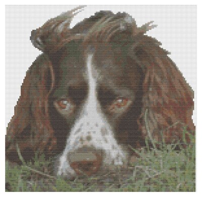 Cross Stitch Pattern by Florashell - Springer Spaniel Dog | eBay