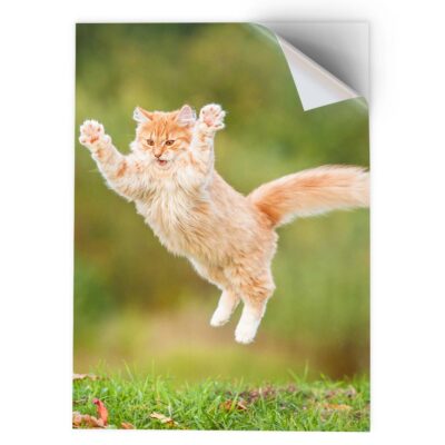 1 x Vinyl Sticker A3 - Jumping Ginger Cat Kitten #2601 | eBay UK