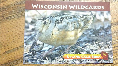 WISCONSIN WILDCARDS, AMERICAN WOODCOCK, UPLAND GAME BIRDS, 3-1/2" X 2-1 ...