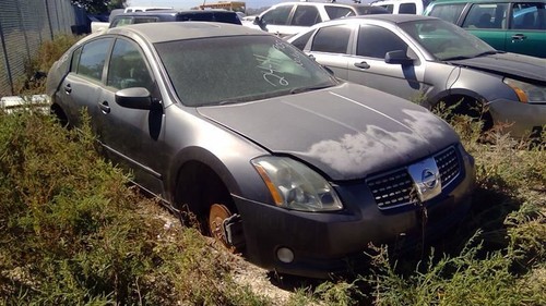 Driver Left Front Knee Fits 04-08 MAXIMA 208175 | eBay