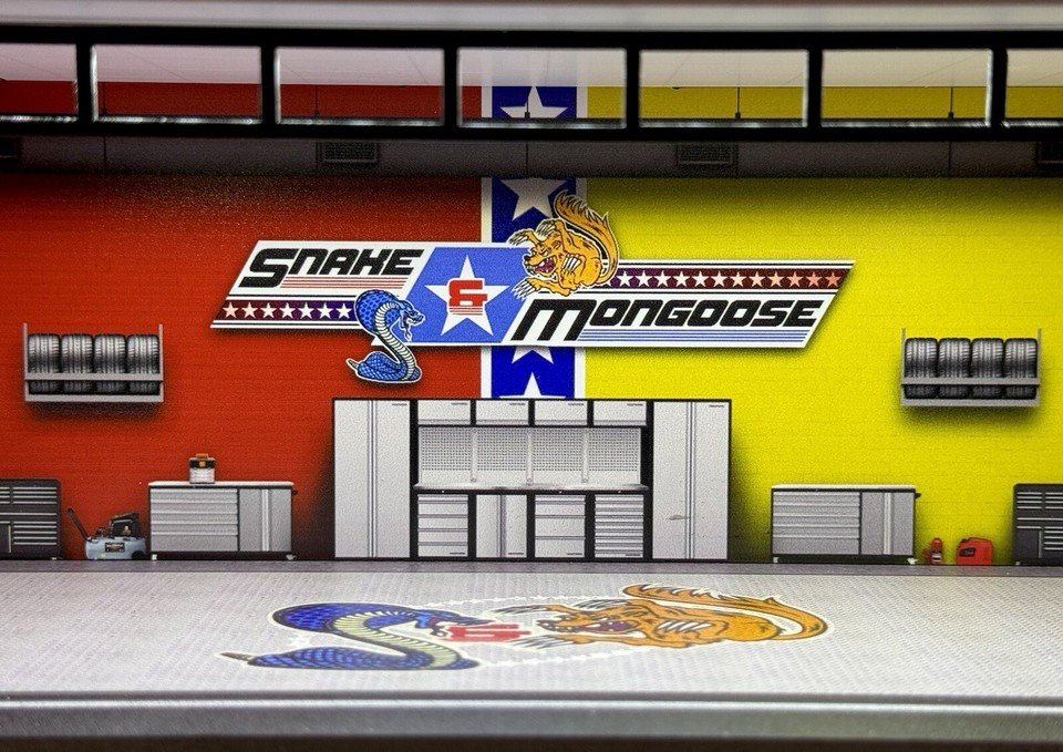 Snake & Mongoose Theme FOR Hot Wheels 1:64 Model Diorama Garage LED ...
