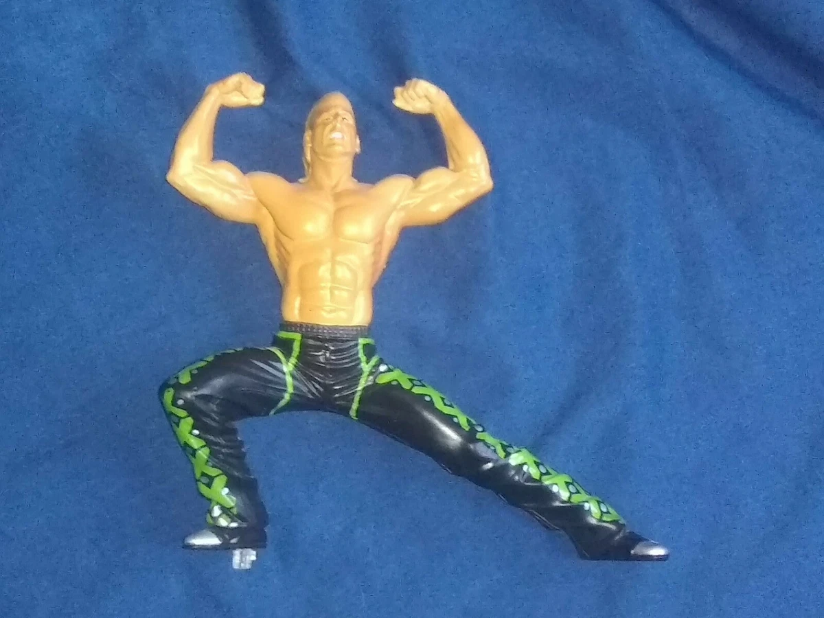 Shawn Michaels Blue Attire