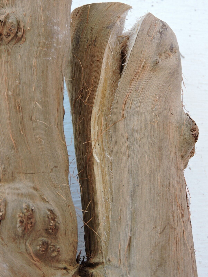 9" Grapevine Wood Stick Log Driftwood Natural Decor Crafts U Crooked 1 ...