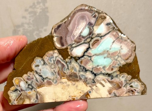 Rare Clay Canyon Variscite Rough Slab - Utah | eBay