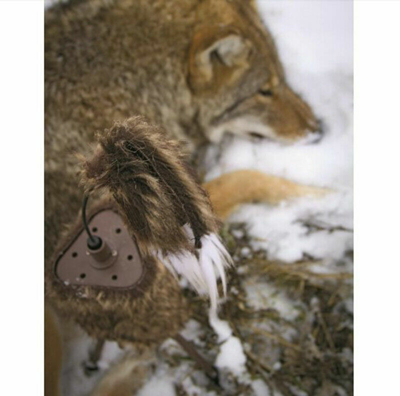 MOJO Outdoors Super Critter Predator Decoy with Sound (HW2304 ...