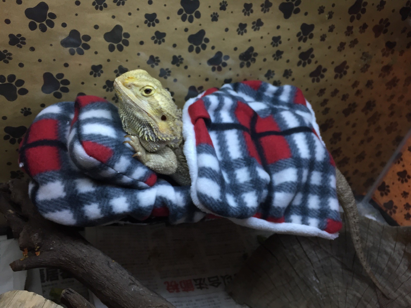 PLAID PRINT DESIGN1 LRG BED SOFTCOVERS SET/ NO ATTACH FRAME BED 4 ...