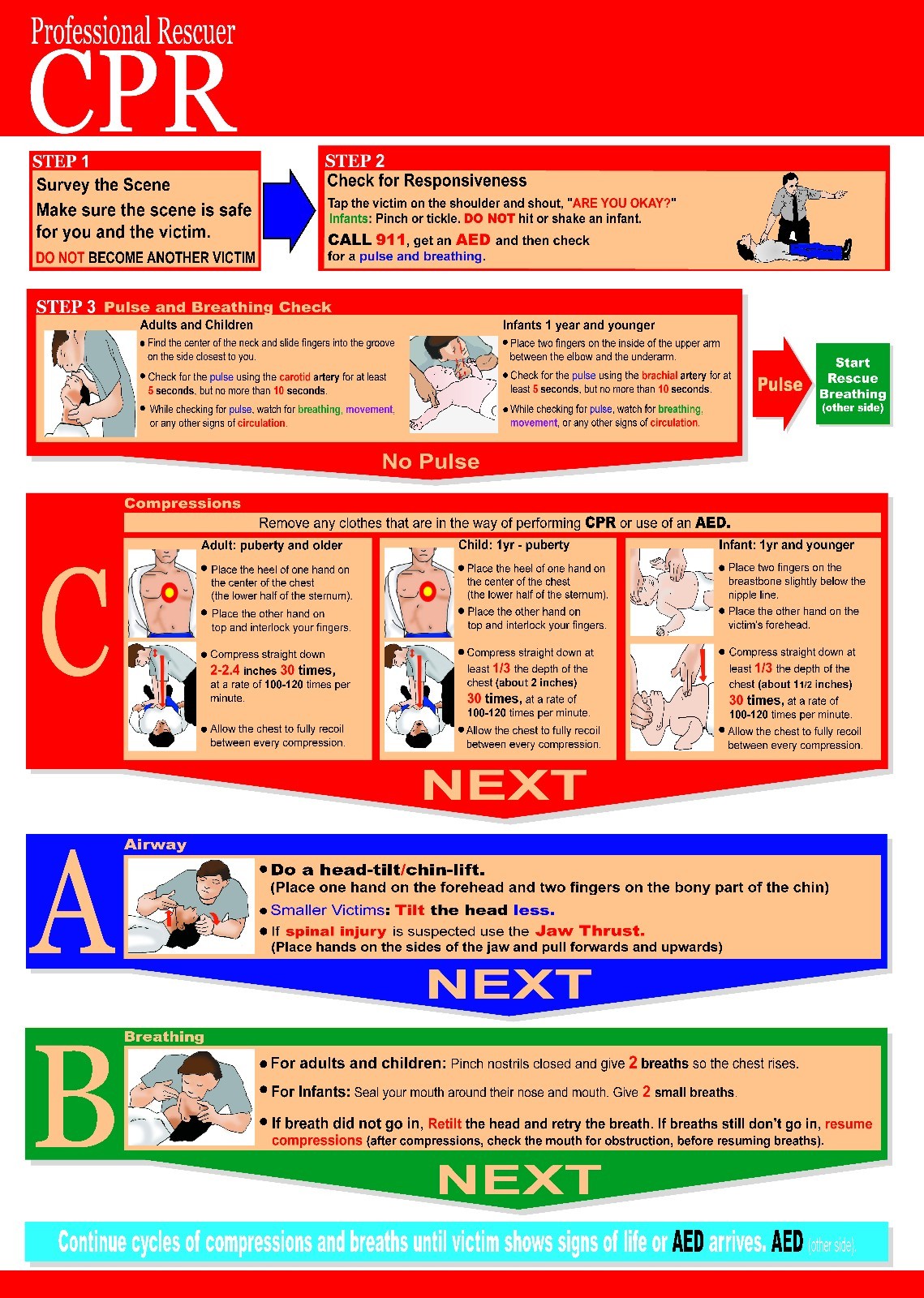 BLS CPR Reference Chart - Latest Guidelines | eBay