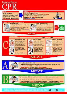 BLS CPR Reference Chart - Latest Guidelines | eBay