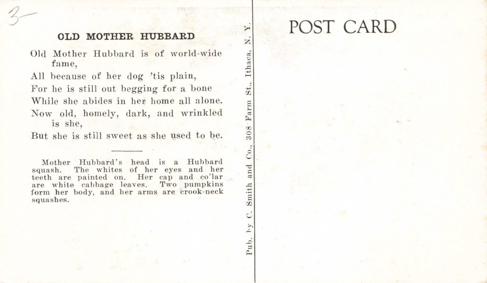 Postcard Vegetable Art Old Mother Hubbard Squash Cabbage Leaves Pumpkin ...