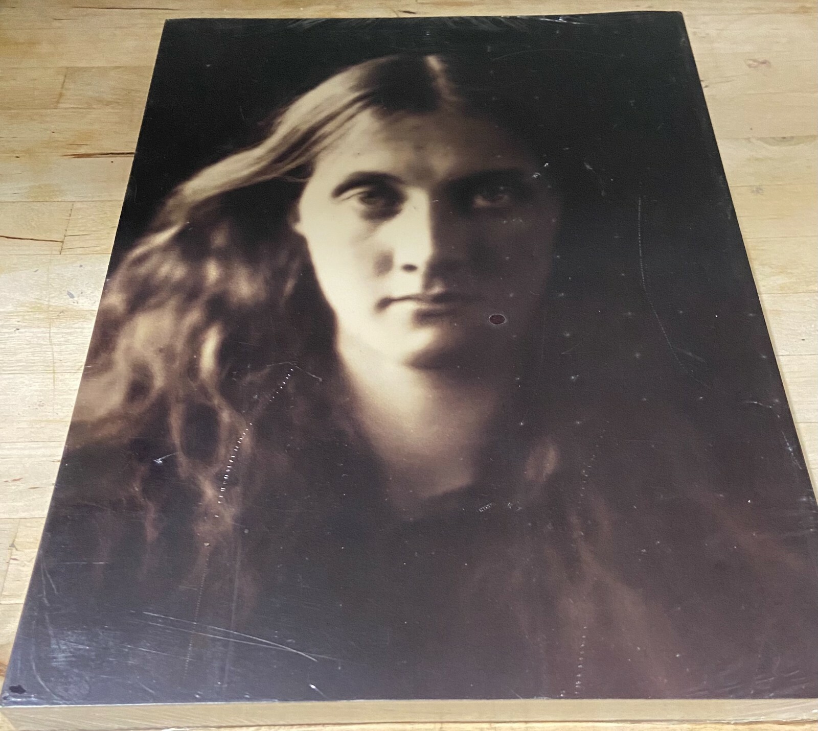 Julia Margaret Cameron's Women by Sylvia Wolf 9780865591691 | eBay