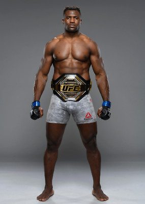 UFC champion Poster, legend,MMA, self defence, fights, boxing, KUNGFU ...