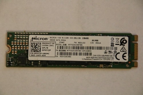 Micron 1100 SATA 256GB M.2 2280 Solid State Hard Drive *Excellent ...